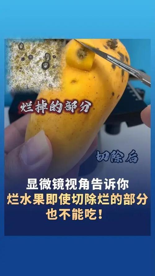 水果烂掉了为什么不能吃图标