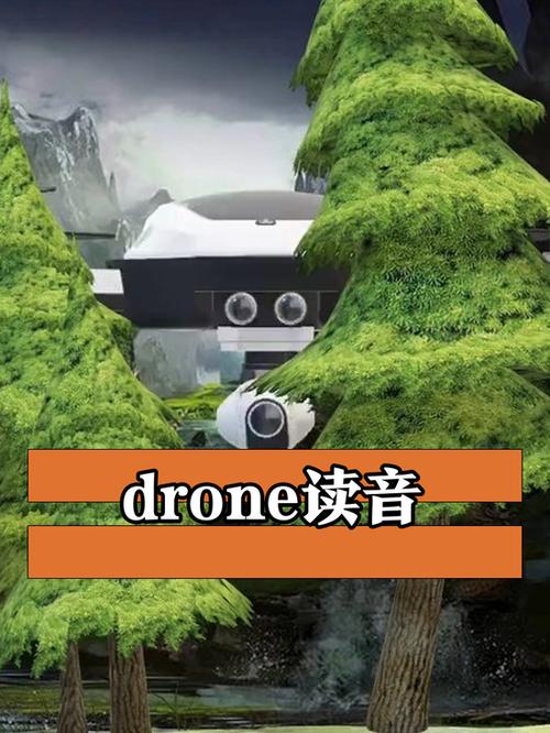 drone怎么发音