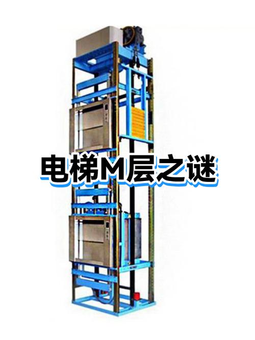 M层是哪一层