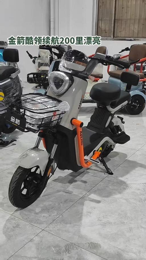 电动车金箭型号图标