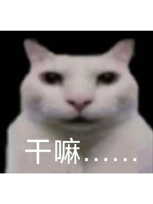 ipad边上三个点是干嘛的图标