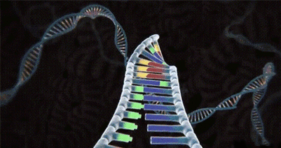 元界双链DNA2020动态图标