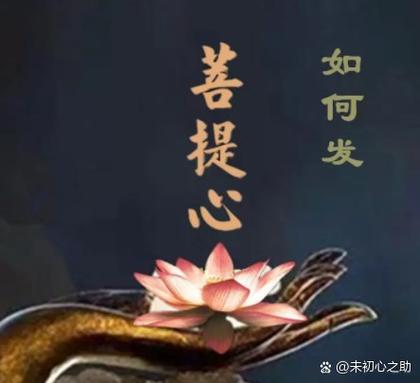 菩提心的特征是什么图标