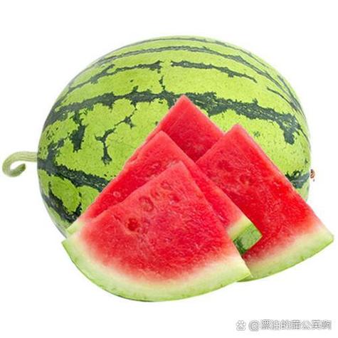 999二公瓜截图