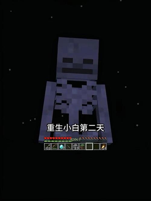 我的世界男主播小白真人照片图标