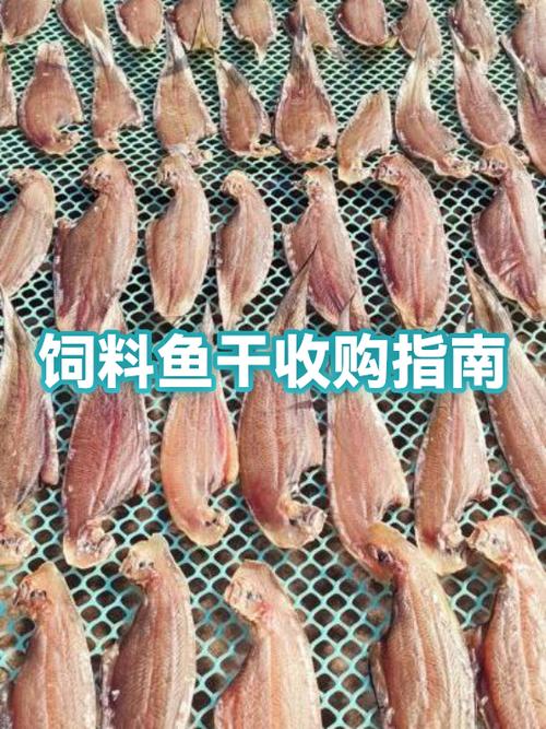 水产收购商电话截图