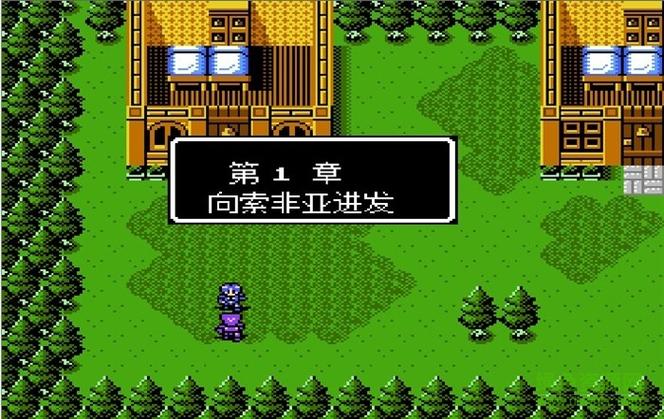 索菲亚复苏女主角代码截图