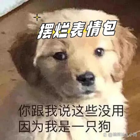 豪门太太摆烂离婚日常图标