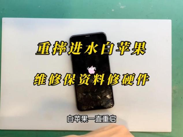 进水的苹果忽然好了截图