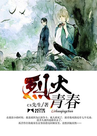 烈火中文网小说图标