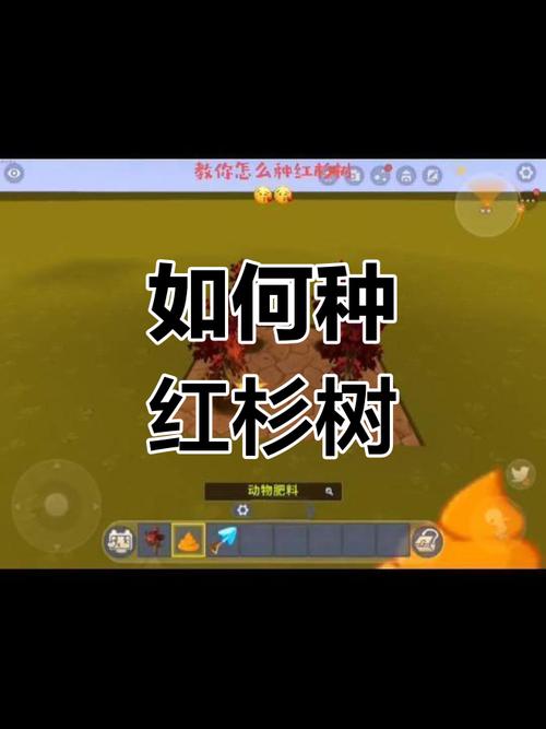 迷你世界树怎么种植图标