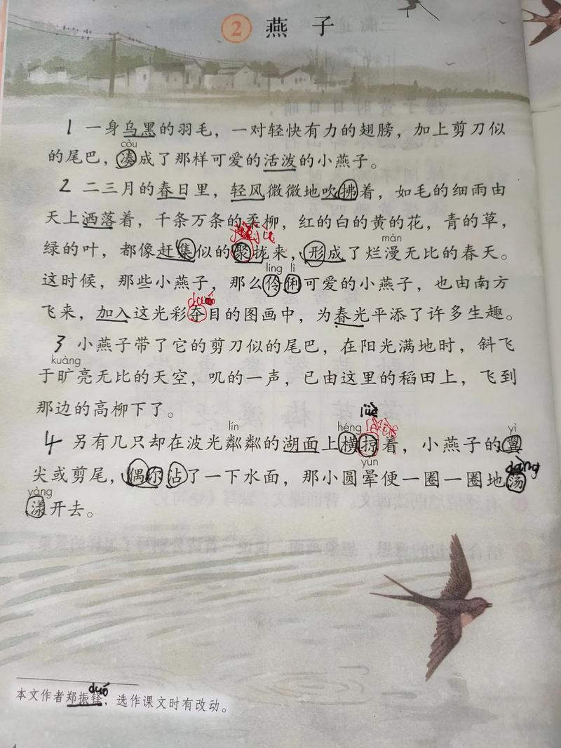 燕子过海阅读理解答案图标