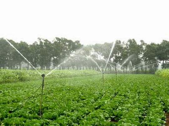 水浇地可以种植什么截图