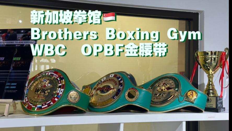 拳击俱乐部WBC修改版图标
