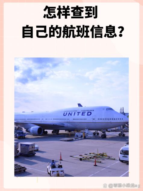 别人订机票自己能查到吗截图