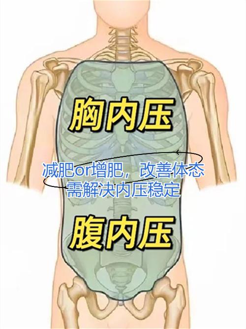 增肥最快最有效的方法图标