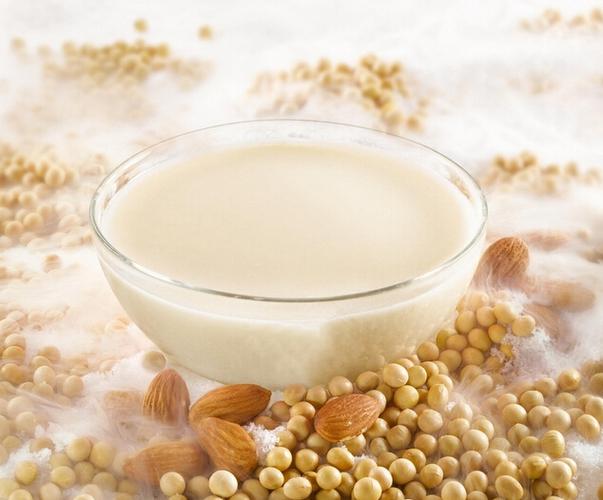 做豆浆需要什么材料图标
