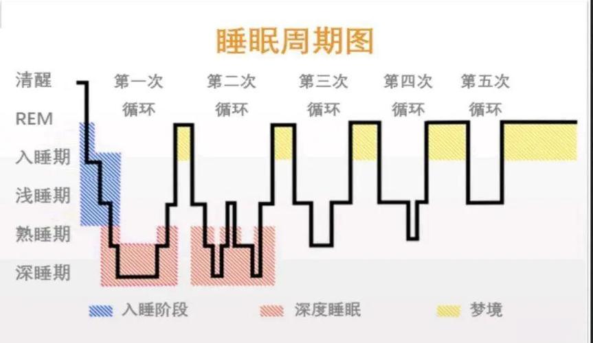 成人一天深度睡眠时间多少合适截图