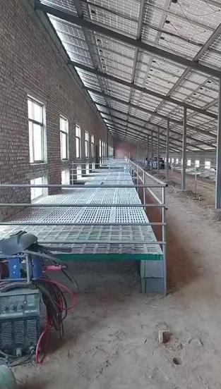 羊圈怎么建设最便宜好用截图