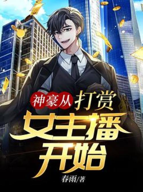 打赏主播的小说截图