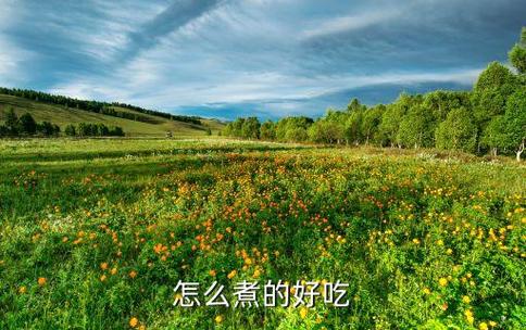 松露虫可以钓鱼吗图标