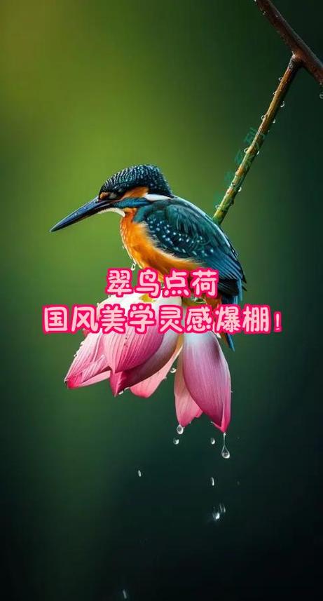 翠鸟最经典的一句