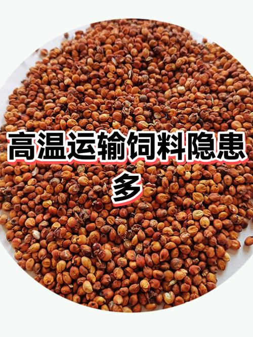 理发店那种高温营养叫什么截图