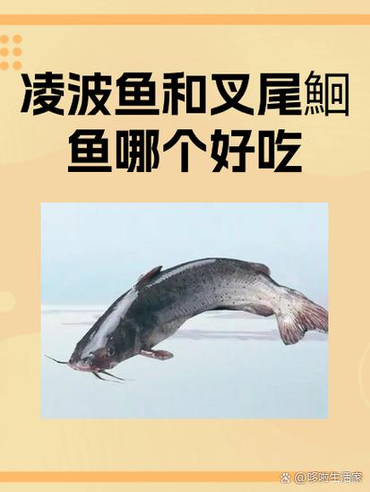 免鱼是什么鱼图标