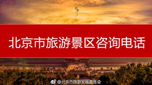北京旅游在线咨询图标
