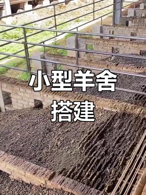农村二十只羊简易羊圈