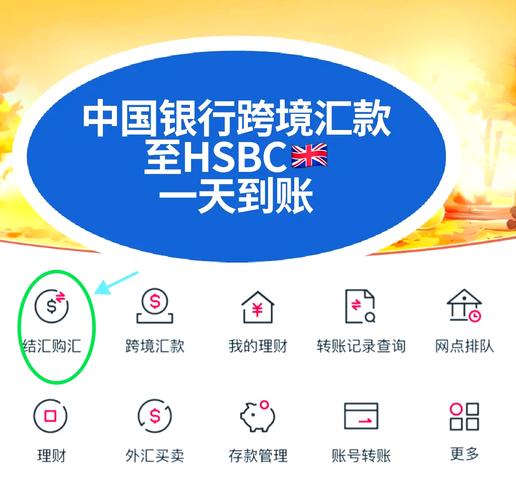 中国外汇官网登录入口缩略图
