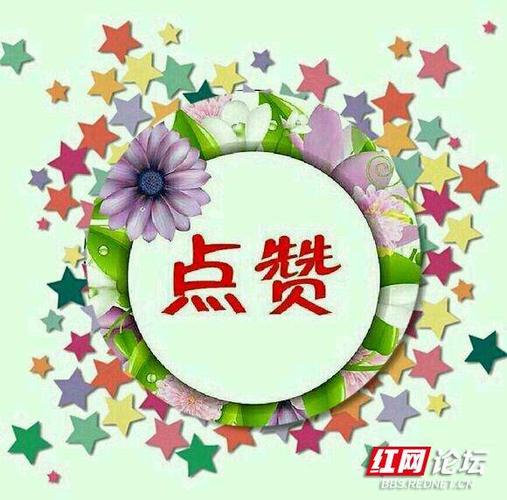 点赞专用图标