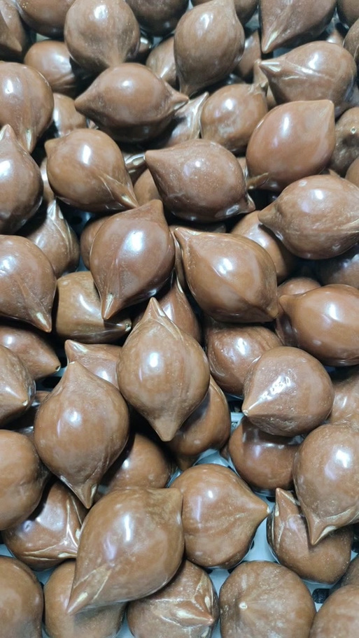 BIGOLIV在国内为什么用不了图标