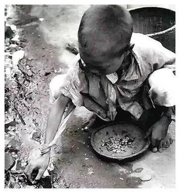 1958年饥荒有多严重图标