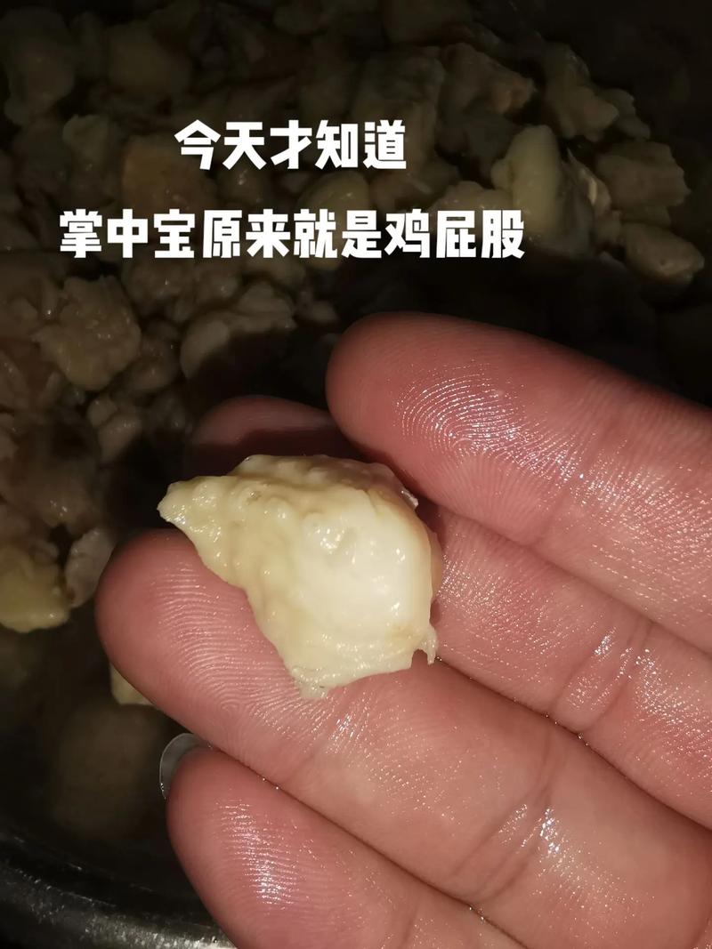 鸡屁股又称掌中宝图标