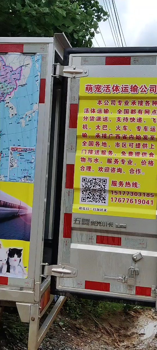 哪个快递公司可以寄活物