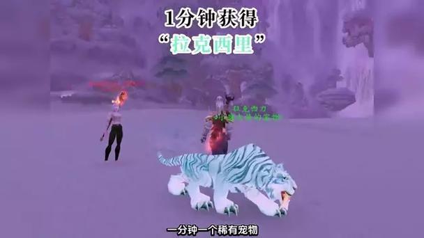 时光服兽王蓝色宝石插什么截图