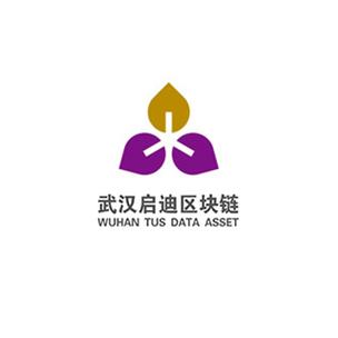 启迪区块链集团是干什么的截图