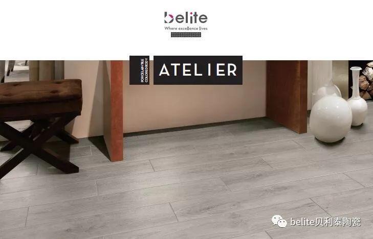Belite贝利泰图标