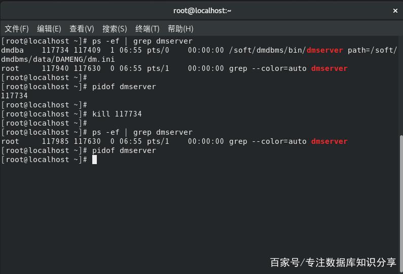 linux 杀掉进程截图