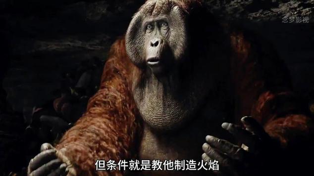 电影 猴子