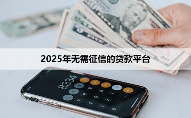 不看征信的借款图标
