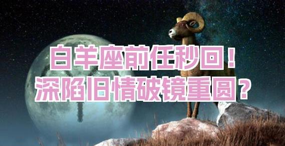 白羊秒回代表什么截图