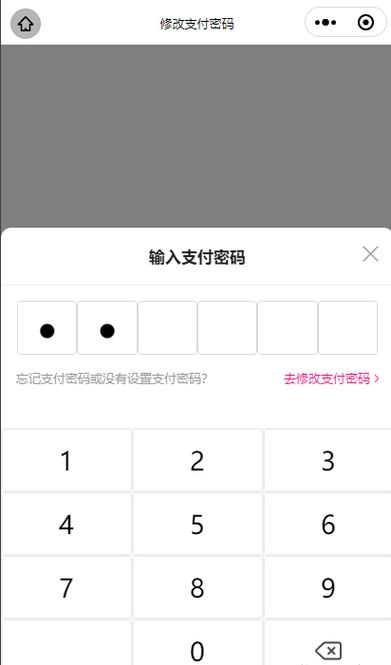 电脑打开不显示密码输入框图标