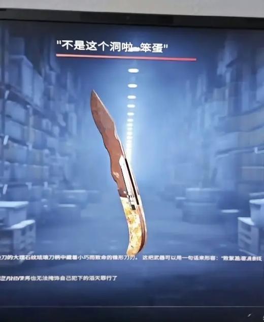 csgo游戏名称图标