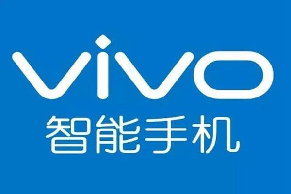 vivo全球上网图标