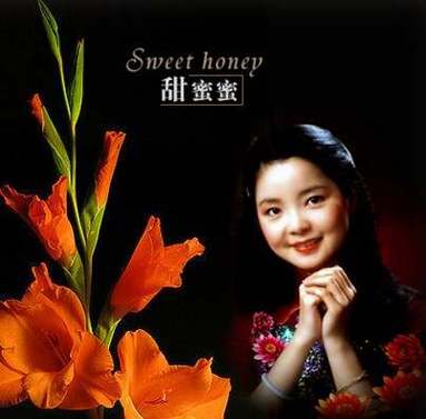 邓丽君《海角天涯》图标