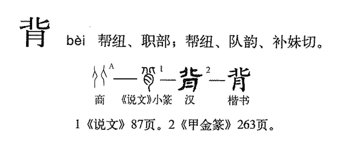 背的拼音图标