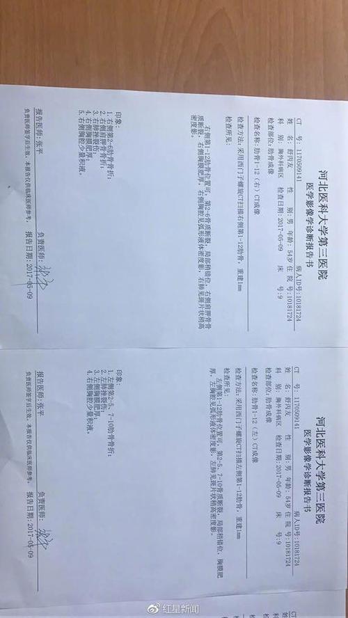 报告书怎么写截图