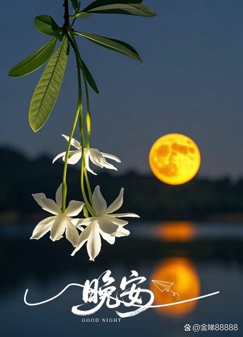 哄对象睡觉截图